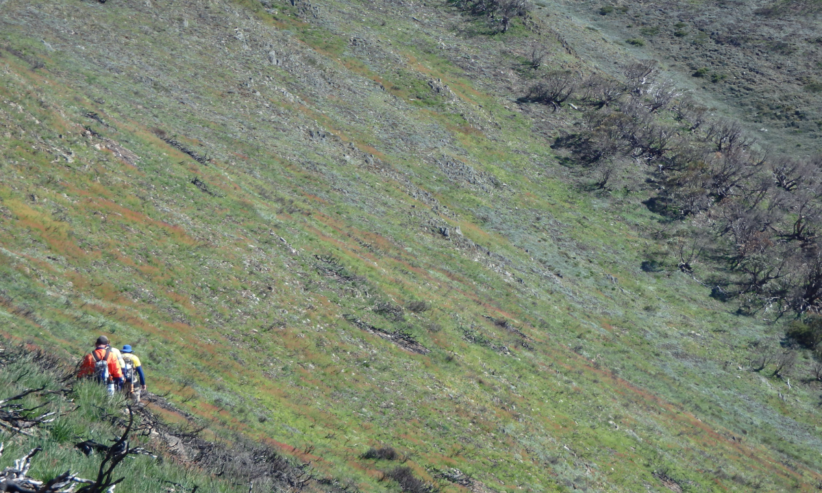 Remote Area Operations Gkeps